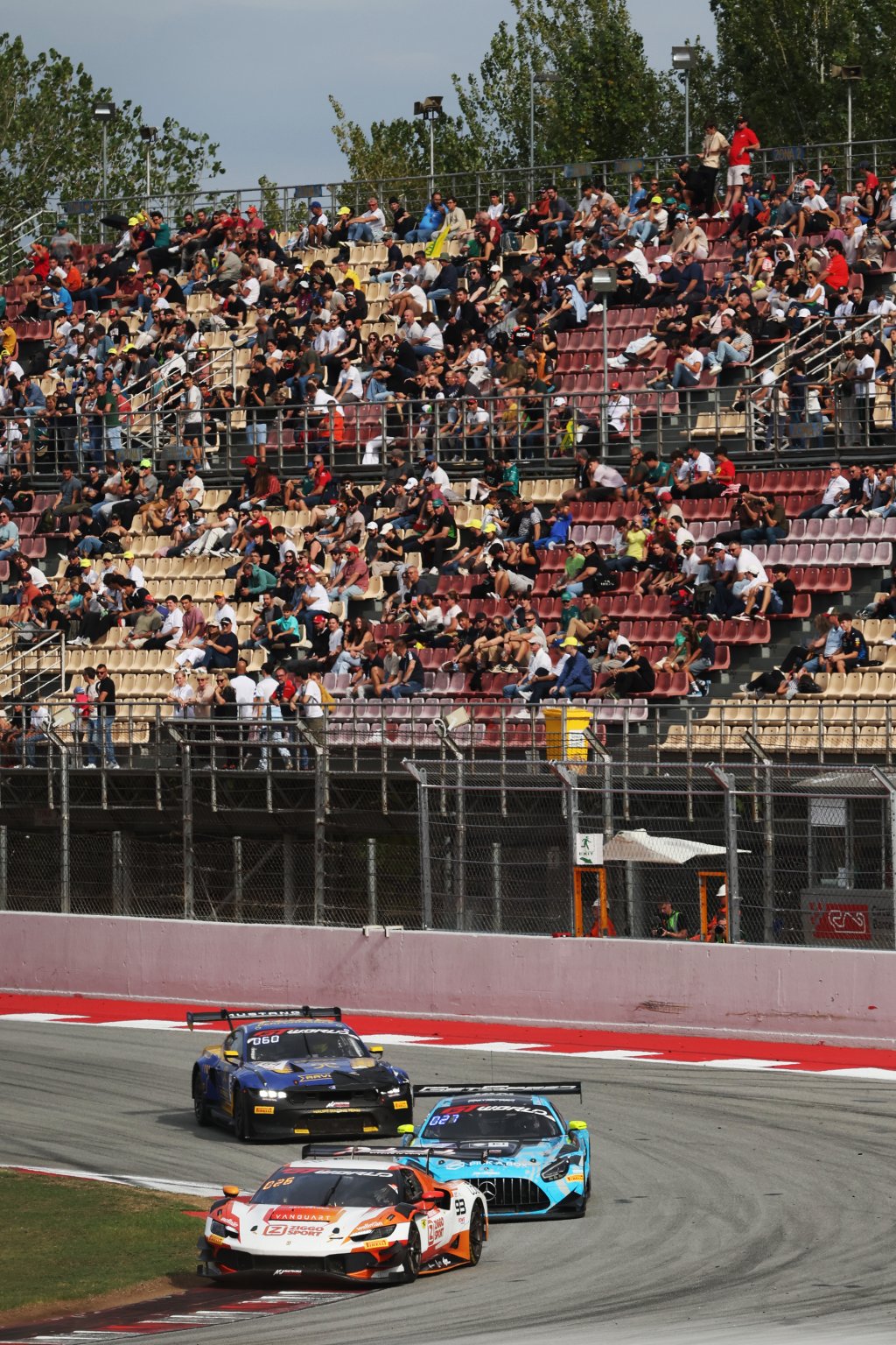 Marco Pulcini, 2025 | GT World Challenge Europe Powered by AWS